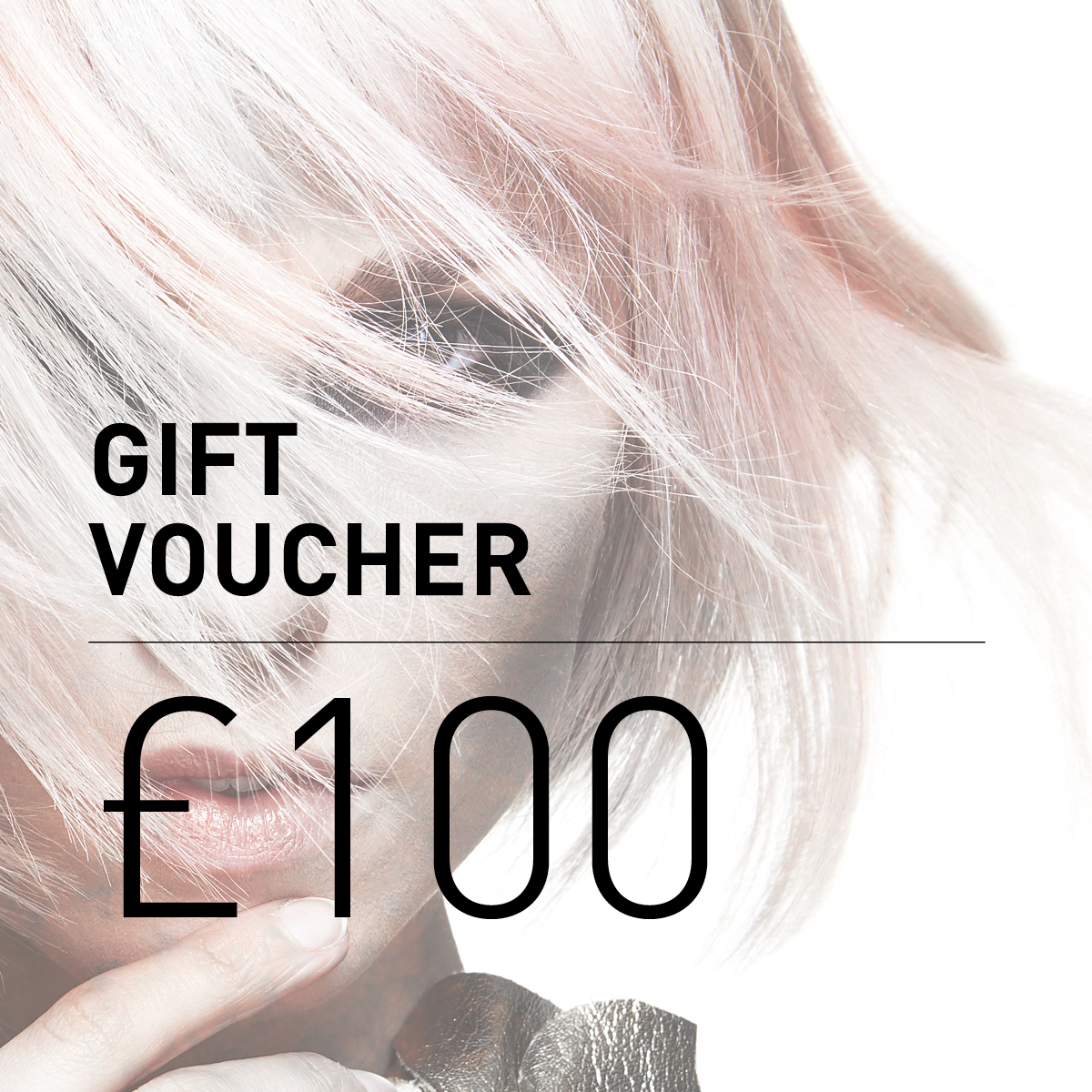 Monetary Value Voucher £100 | Wiles Studios – Northampton